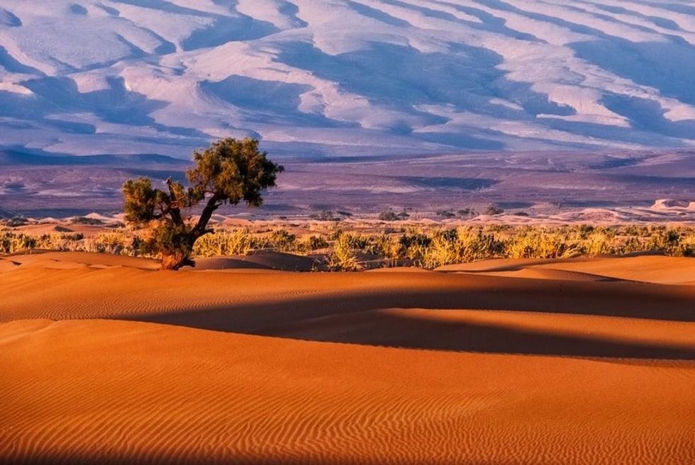 41 Bantu Migration Facts: Interesting Details Revealed On African ...