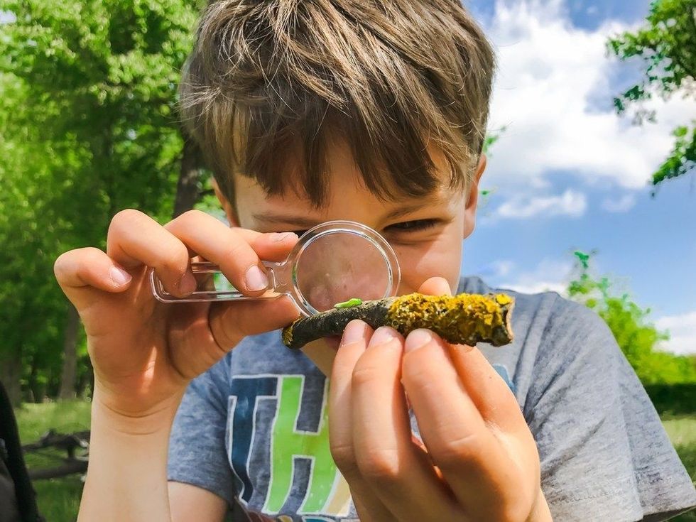 60+ Great Stem Quotes For Science-Loving Kids | Kidadl