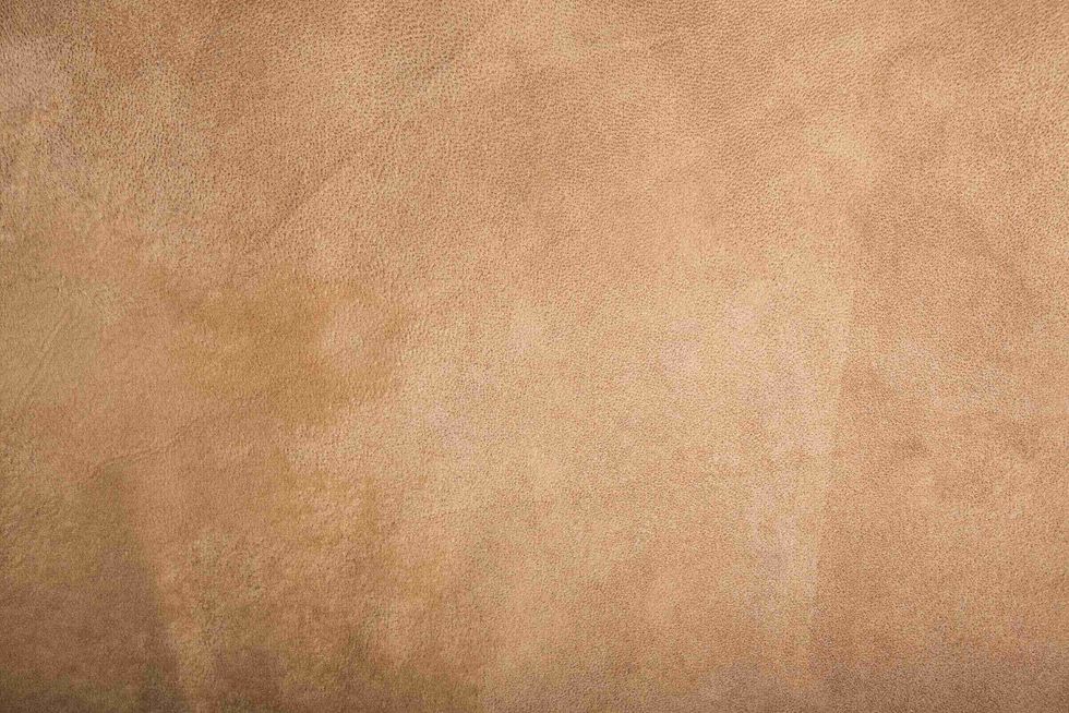 What Colors Make Tan? Interesting Color Mixing Guide For Kids | Kidadl