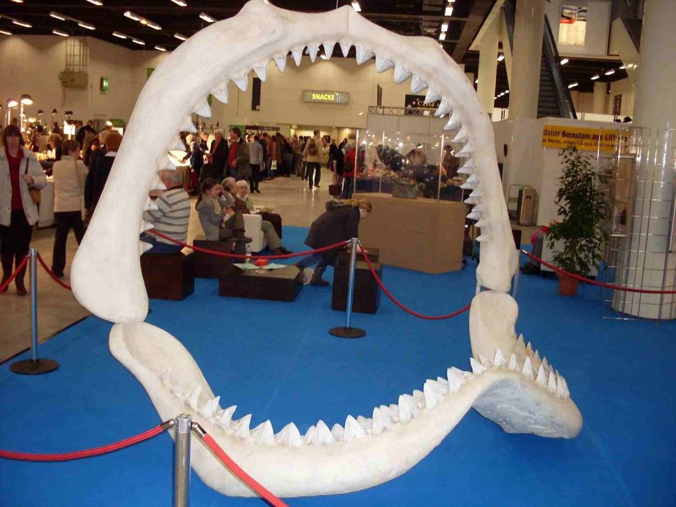 Fun Megalodon Facts For Kids | Kidadl