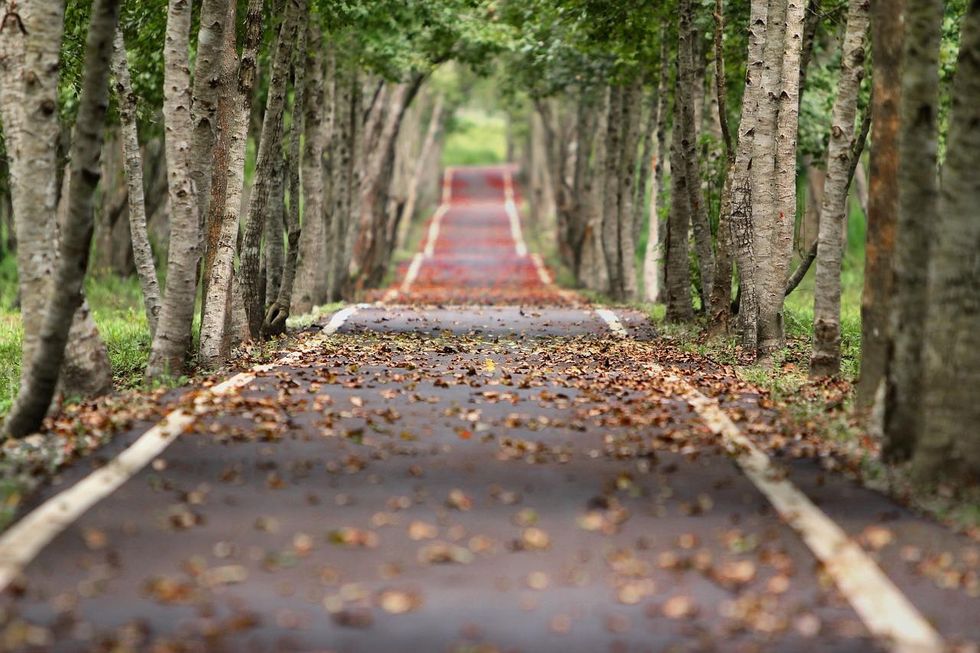 100 Cool Street Names That You Must Know | Kidadl