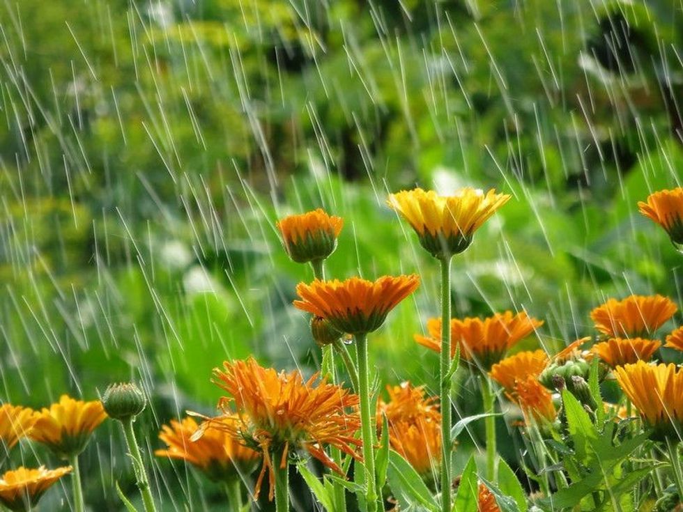 50 Best 'After The Storm' Quotes To Calm You | Kidadl