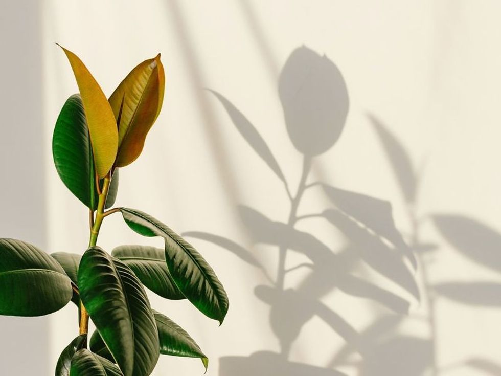 What Is A Shadow? Curious Science Facts On Light Explained For Kids ...