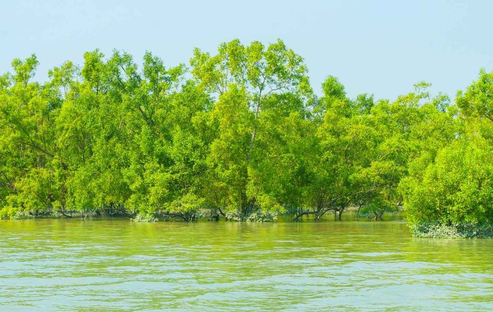 77 Interesting Ob River Facts You Probably Didn't Know About! | Kidadl