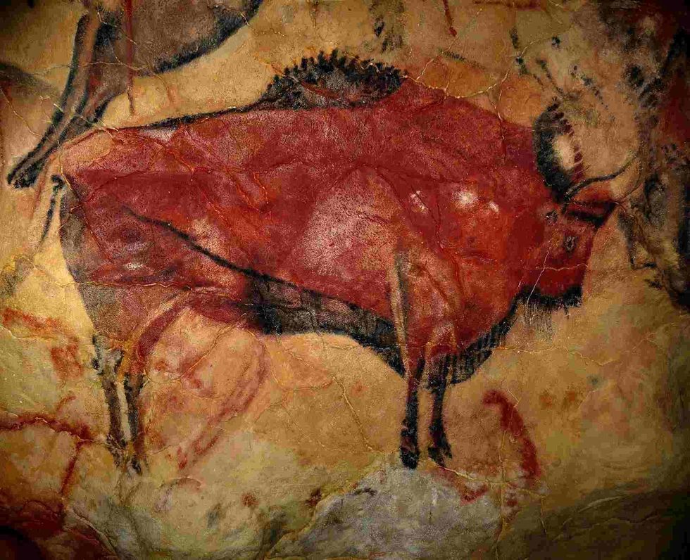 Paleolithic Houses: Were They Nomads, Where Did They Live And More | Kidadl
