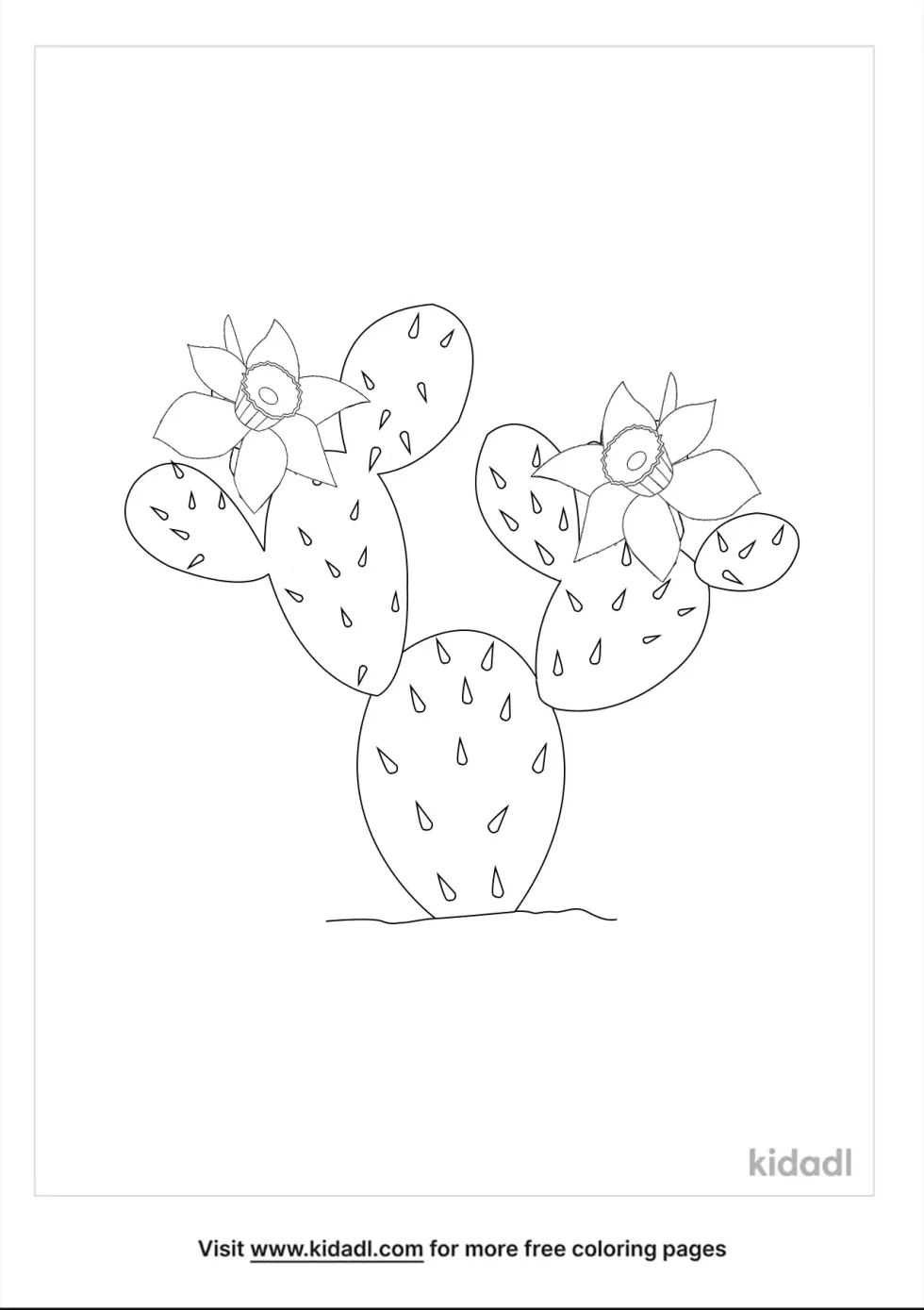 Arizona State Flower Coloring Page | Kidadl