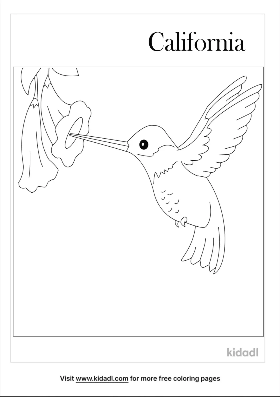 State Bird Coloring Page | Kidadl