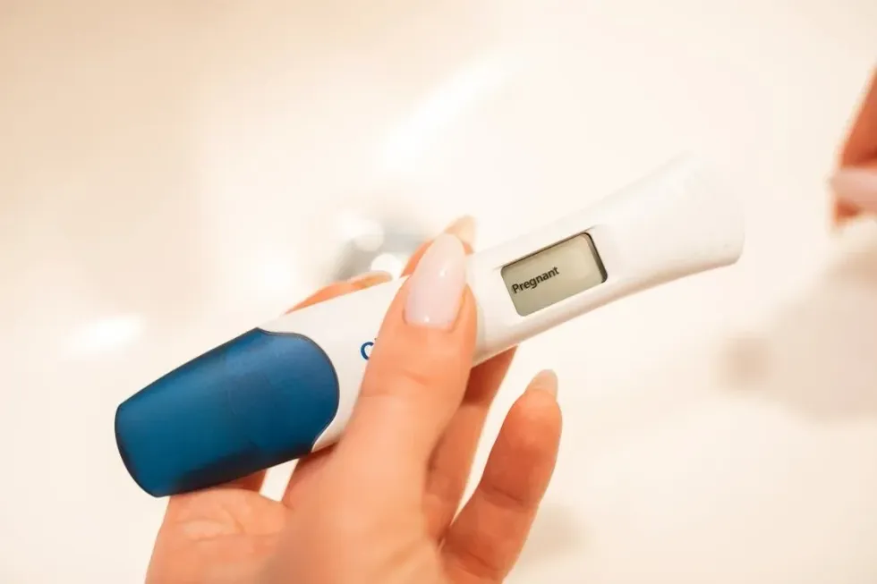 Your First Midwife Appointment What To Expect What To Ask Kidadl Your First Midwife Appointment What To Expect What To Ask Kidadl