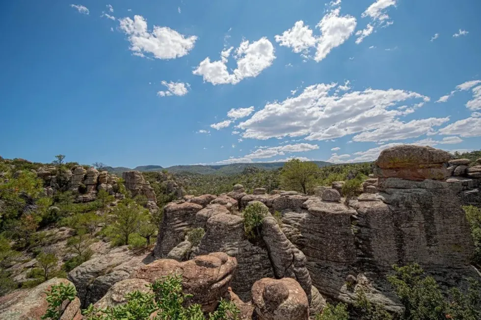 51 Chihuahua Mexico Facts History Culture And More Kidadl 51-chihuahua-mexico-facts-history-culture-and-more-kidadl