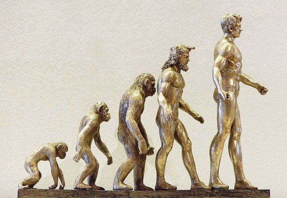 Facts About The Homo Floresiensis That Will Amaze You! | Kidadl