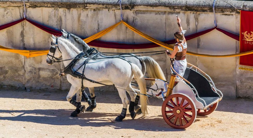 Roman Chariot Facts: Find Out What Were They Used For | Kidadl