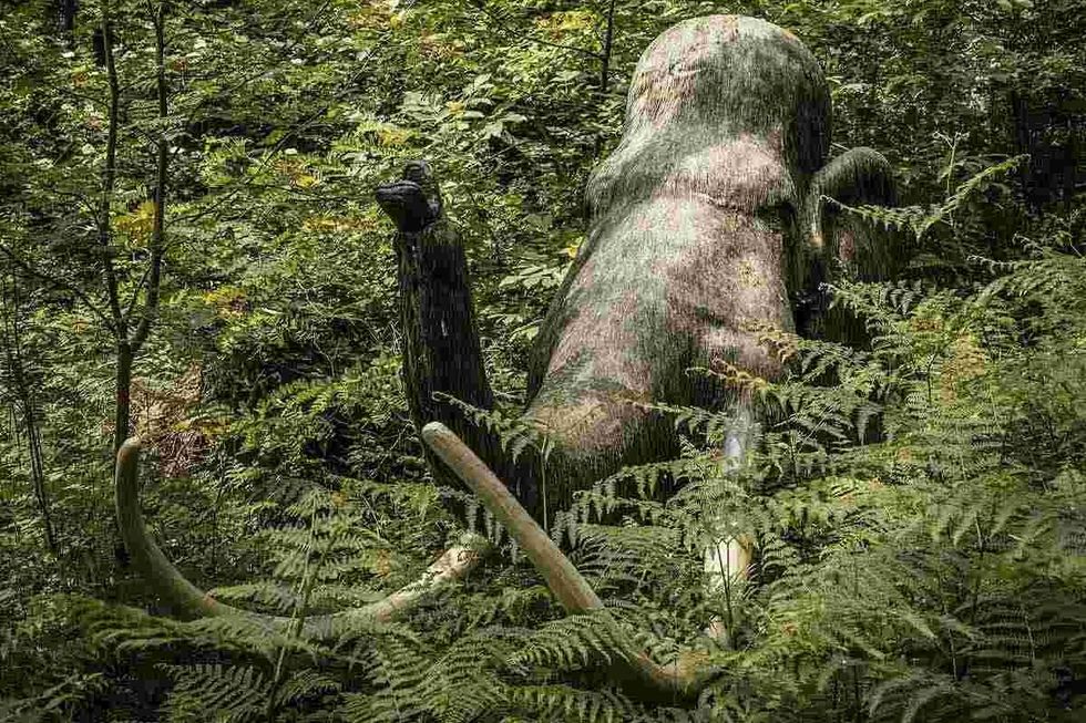 Stone Age Animals (KS2): Everything You Need To Know | Kidadl