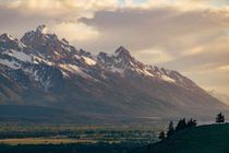 37 Famous People From Wyoming You May Not Know Of! | Kidadl